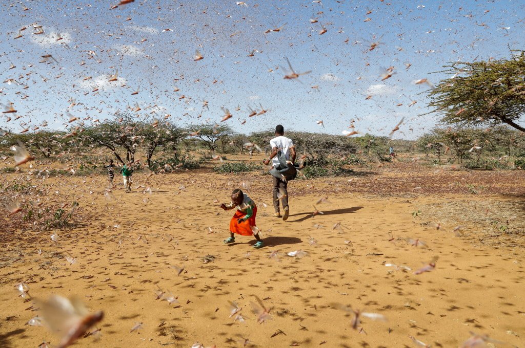 The Years of the Locusts – Tell About It